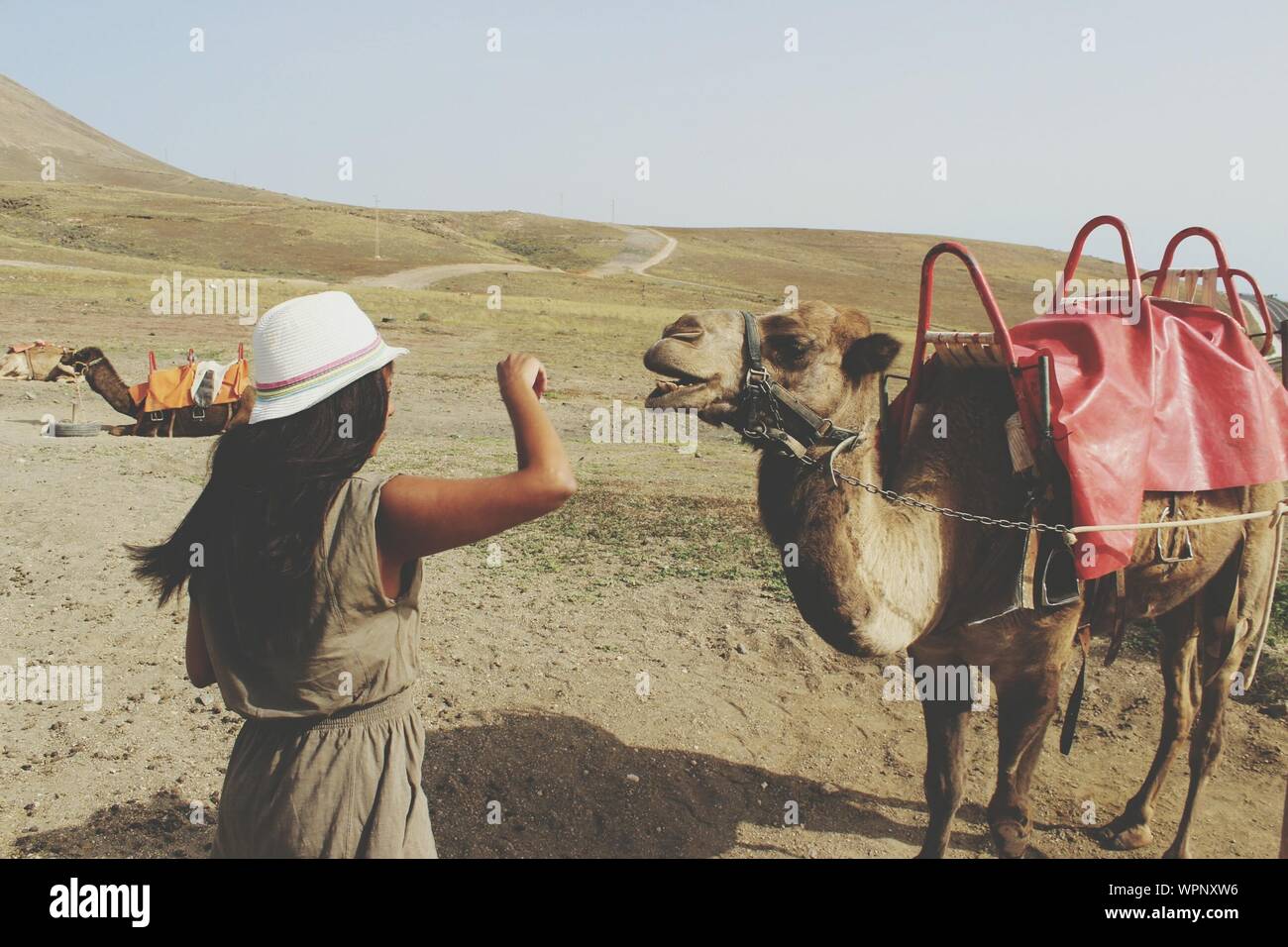 Woman camel hi-res stock photography and images - Alamy