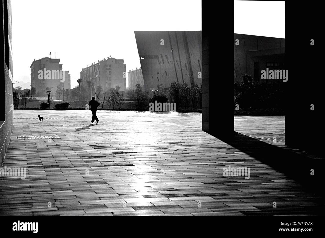 Man Chasing Dog High Resolution Stock Photography and Images - Alamy