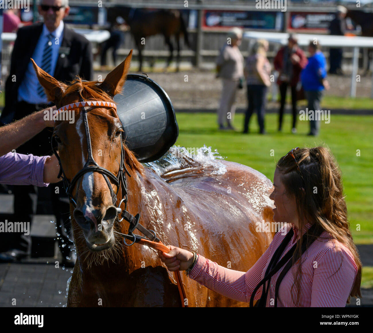Racing fontwell hi-res stock photography and images - Alamy