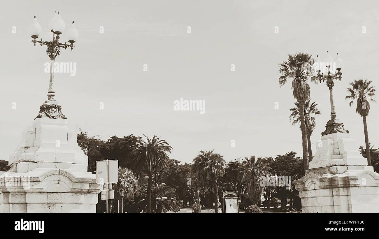 Entrance gate palm trees hi-res stock photography and images - Alamy