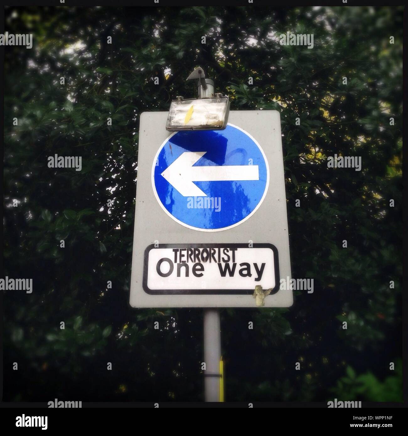 Close-up Of Arrow Sign Against Trees Stock Photo - Alamy