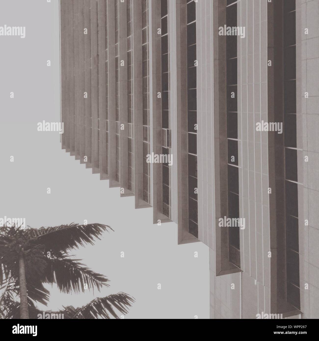 Modern Facade Tree High Resolution Stock Photography and Images - Alamy