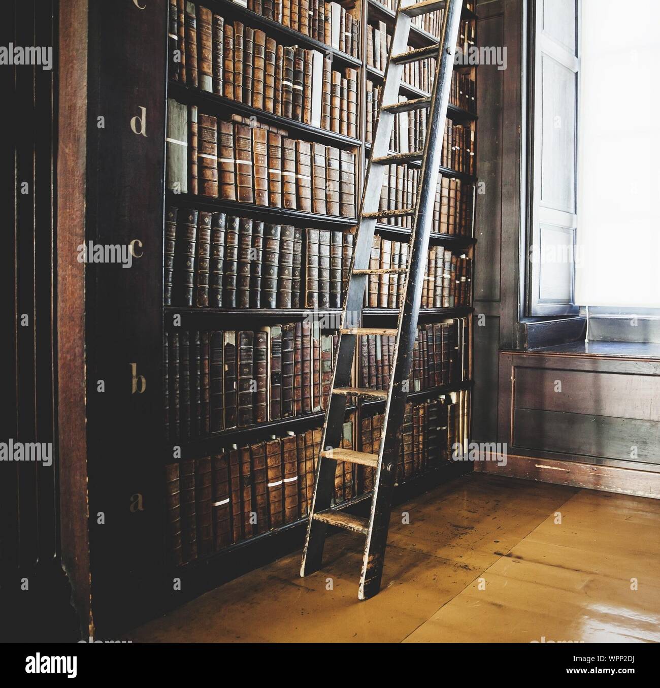Tall bookshelves hi-res stock photography and images - Alamy