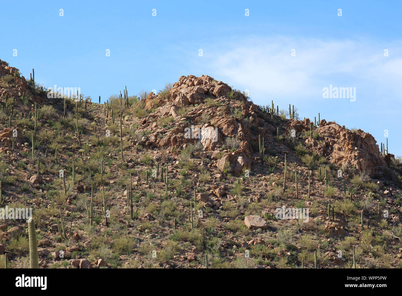 Sus picnic area hi-res stock photography and images - Alamy