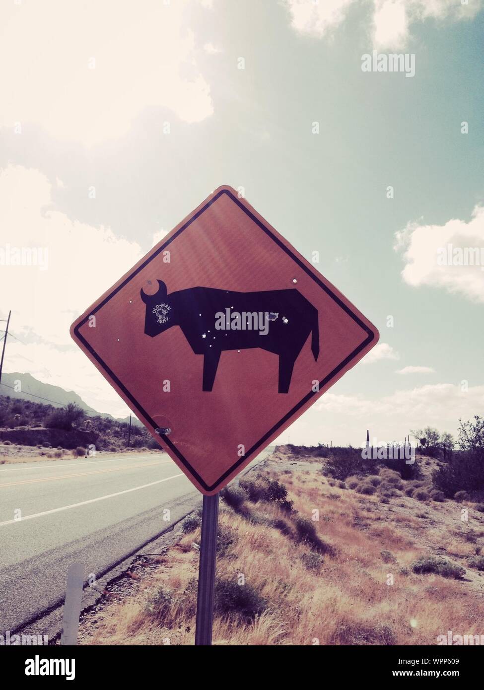 Cow with sign hi-res stock photography and images - Alamy
