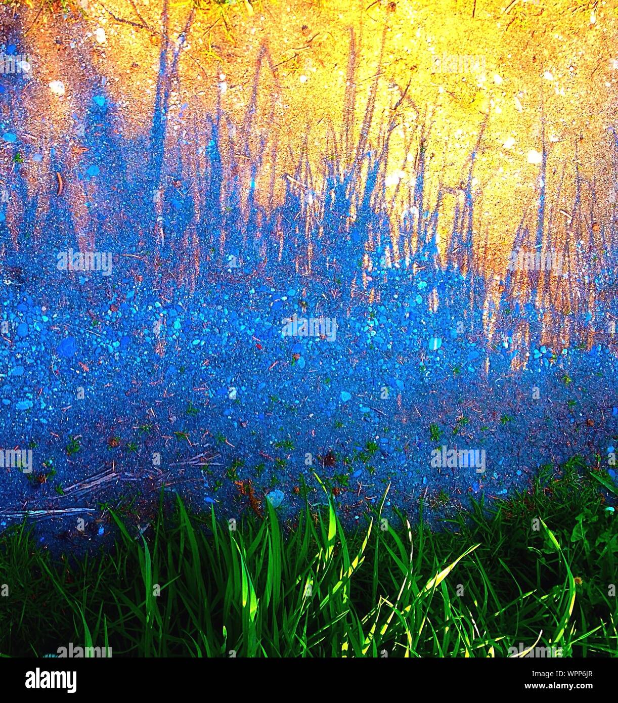 Grass art feature hi-res stock photography and images - Alamy