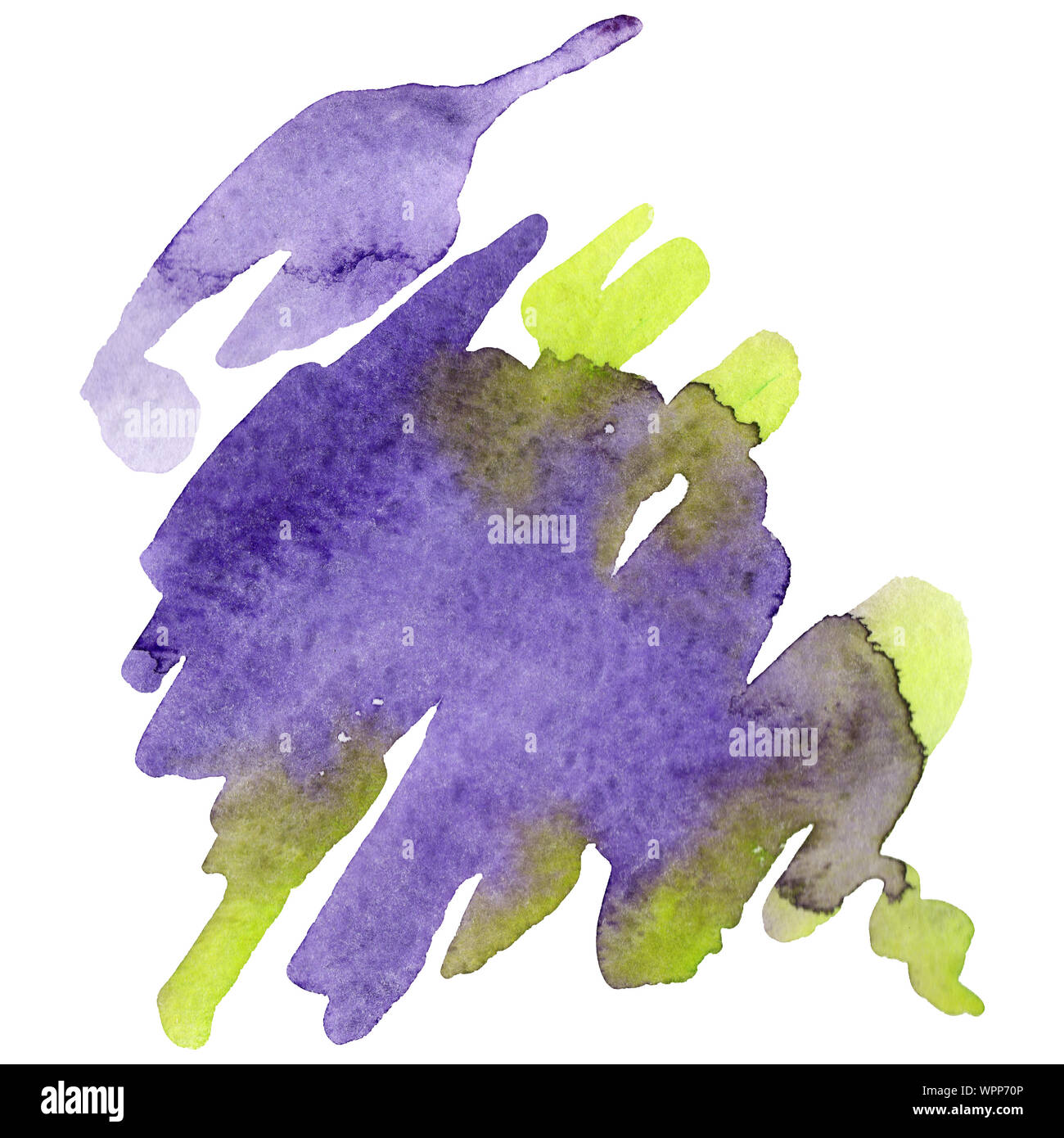 Abstract watercolor paper splash shapes isolated drawing. Illustration ...