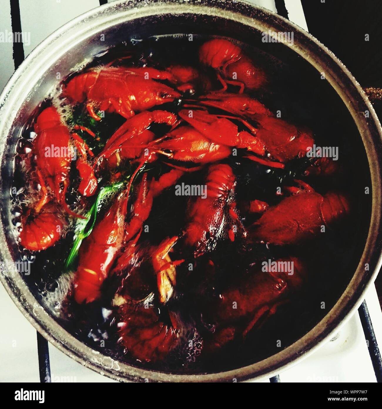 Boiling lobster hi-res stock photography and images - Alamy