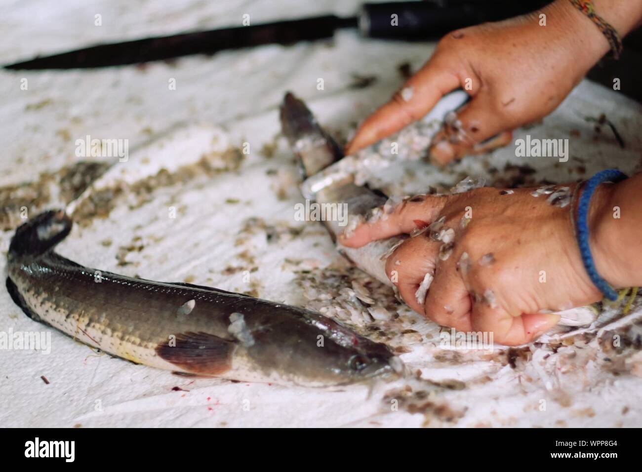 Removing Scale High Resolution Stock Photography and Images - Alamy