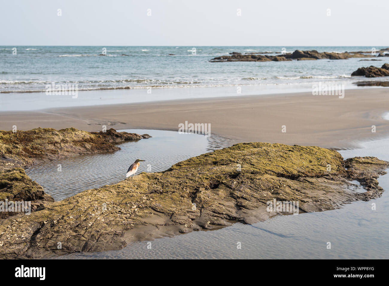 Ashvem Beach, Goa/India- May 1 2018: Local beach shacks and relaxation ...