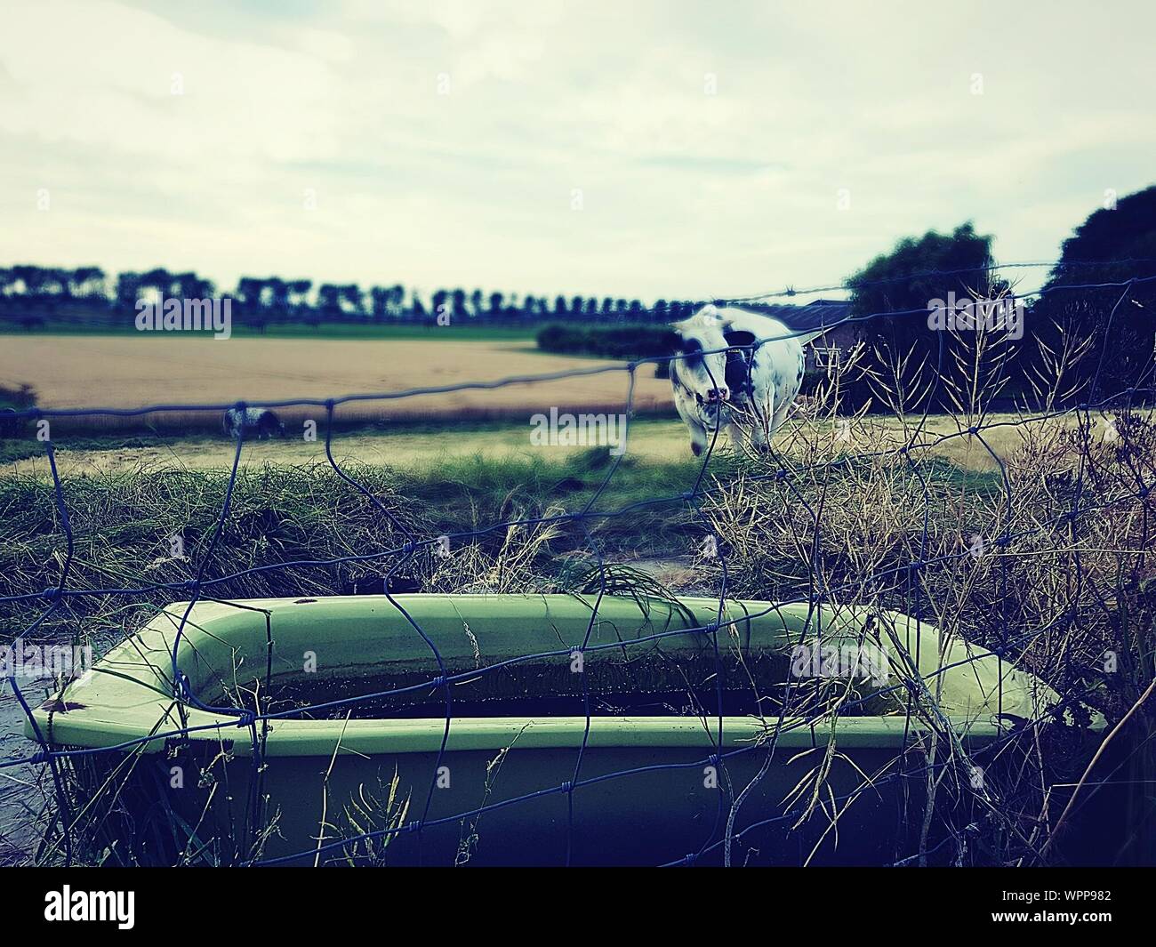 Trough in fence hi-res stock photography and images - Alamy