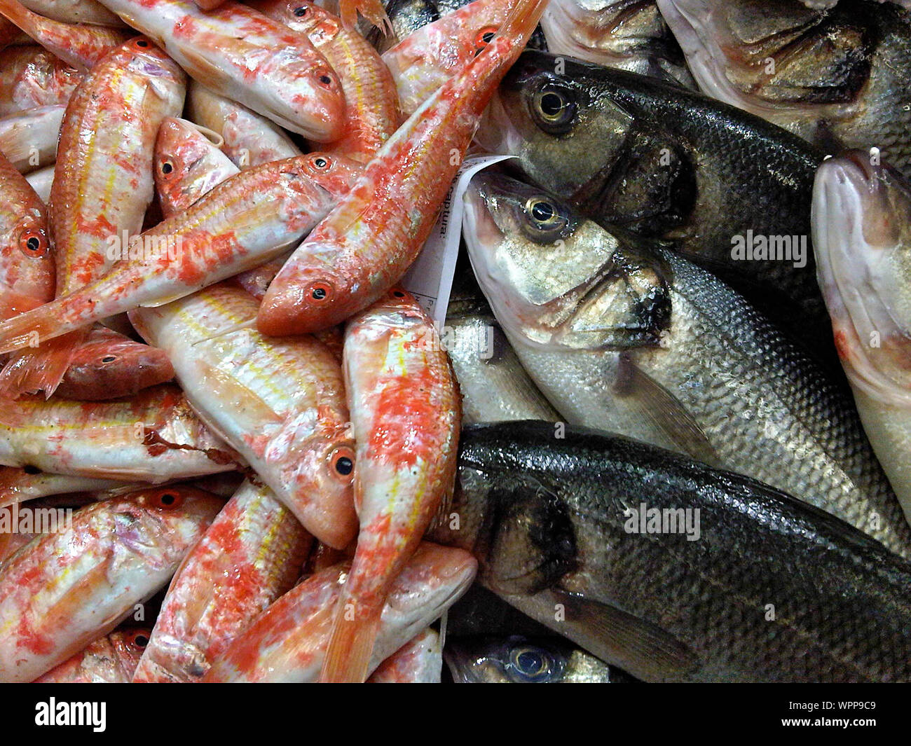 Unprepared fish hi-res stock photography and images - Alamy