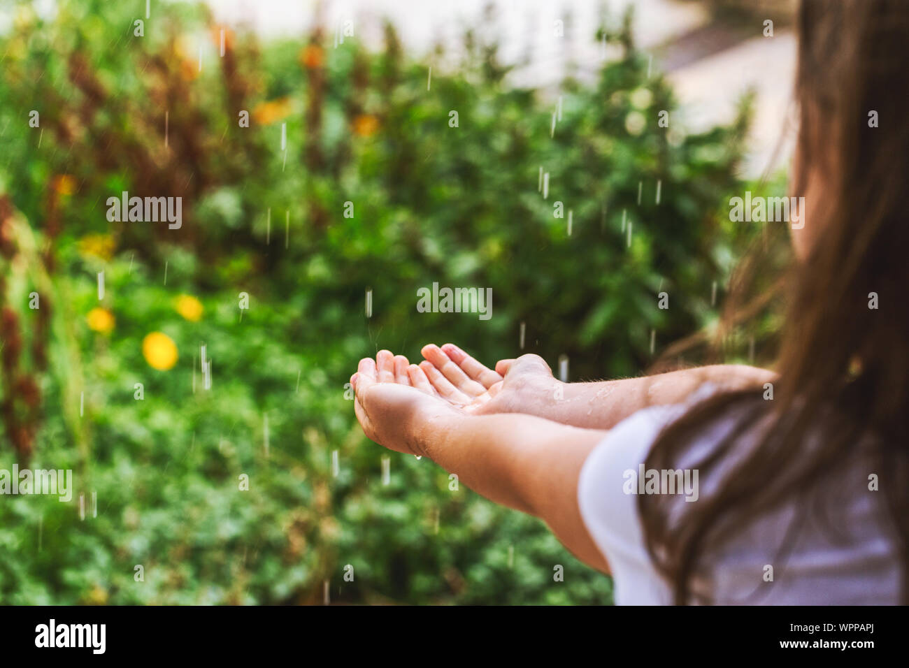 Girl's hands catching raindrops on blurred green floral background ...