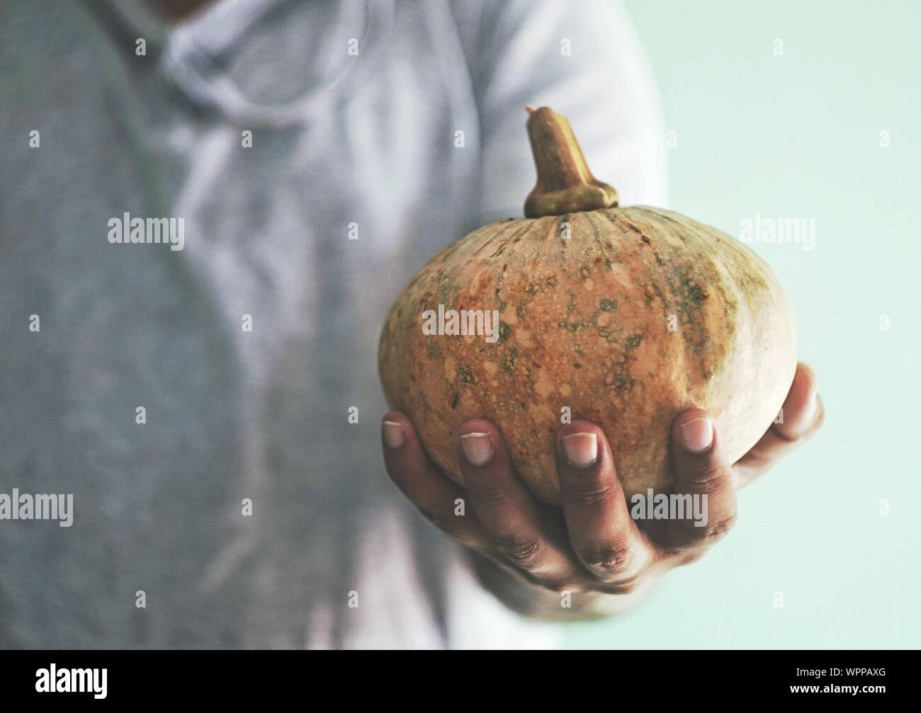 Man and pumpkin hi-res stock photography and images - Alamy