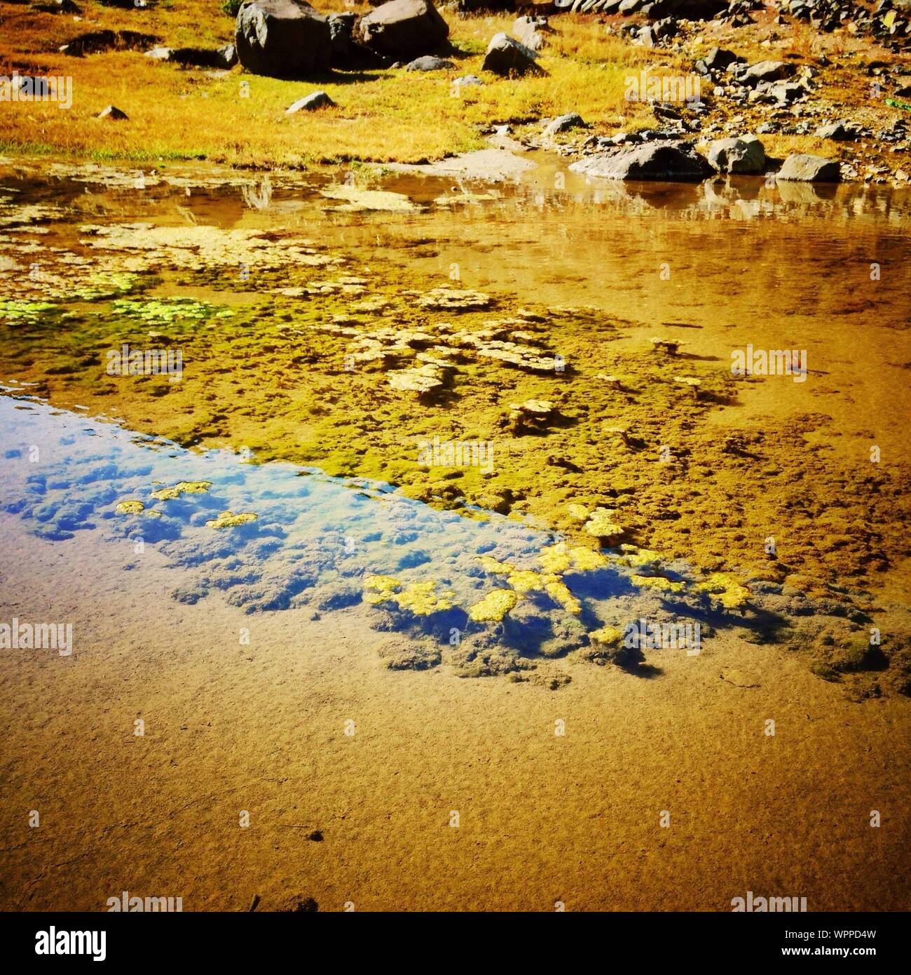 Shallow water and beach hi-res stock photography and images - Alamy