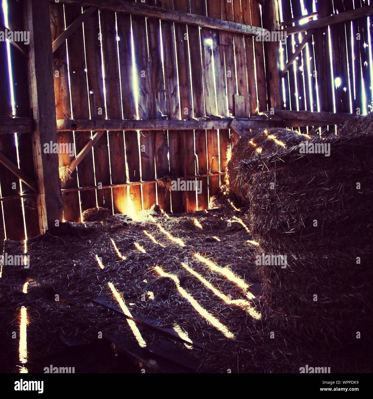 Sunlight Falling In Old Barn Stock Photo - Alamy