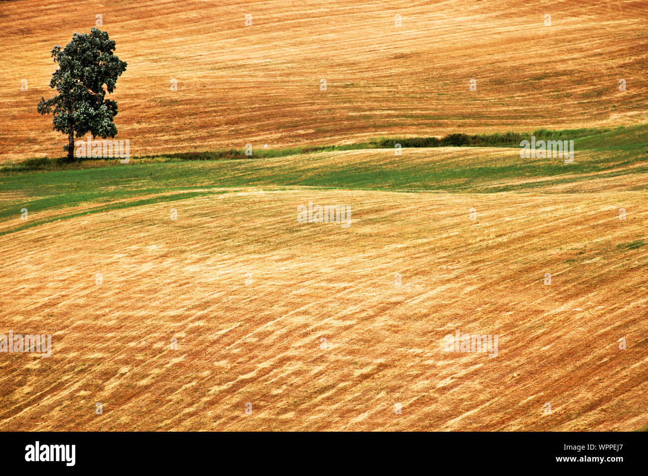 Patchwork hi-res stock photography and images - Alamy