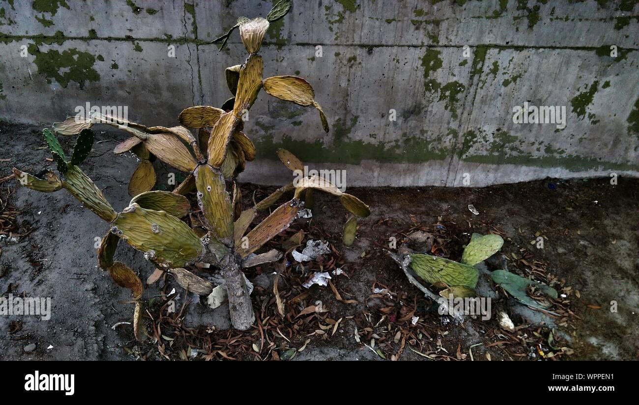 Concrete front wall hi-res stock photography and images - Alamy