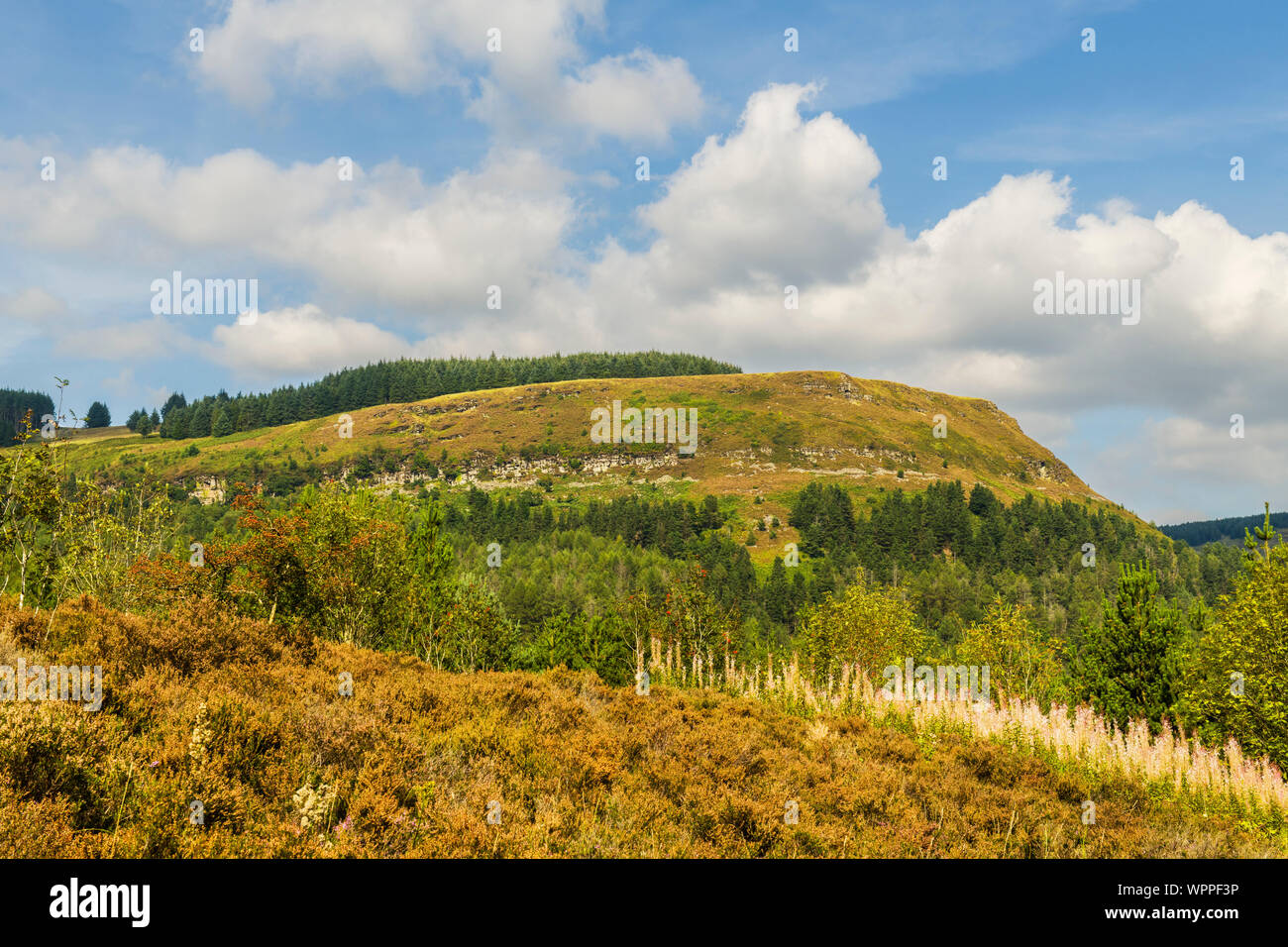 South wales pen pych hi-res stock photography and images - Alamy
