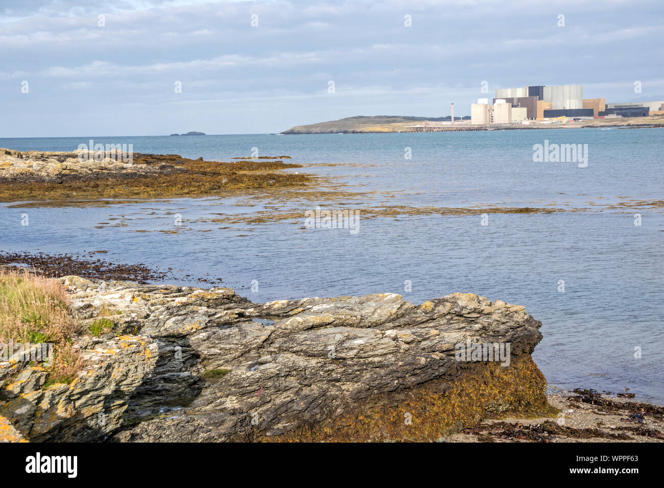 Cemlyn North Wales Wildlife Trust Reserve and Wylfa Nuclear Power ...