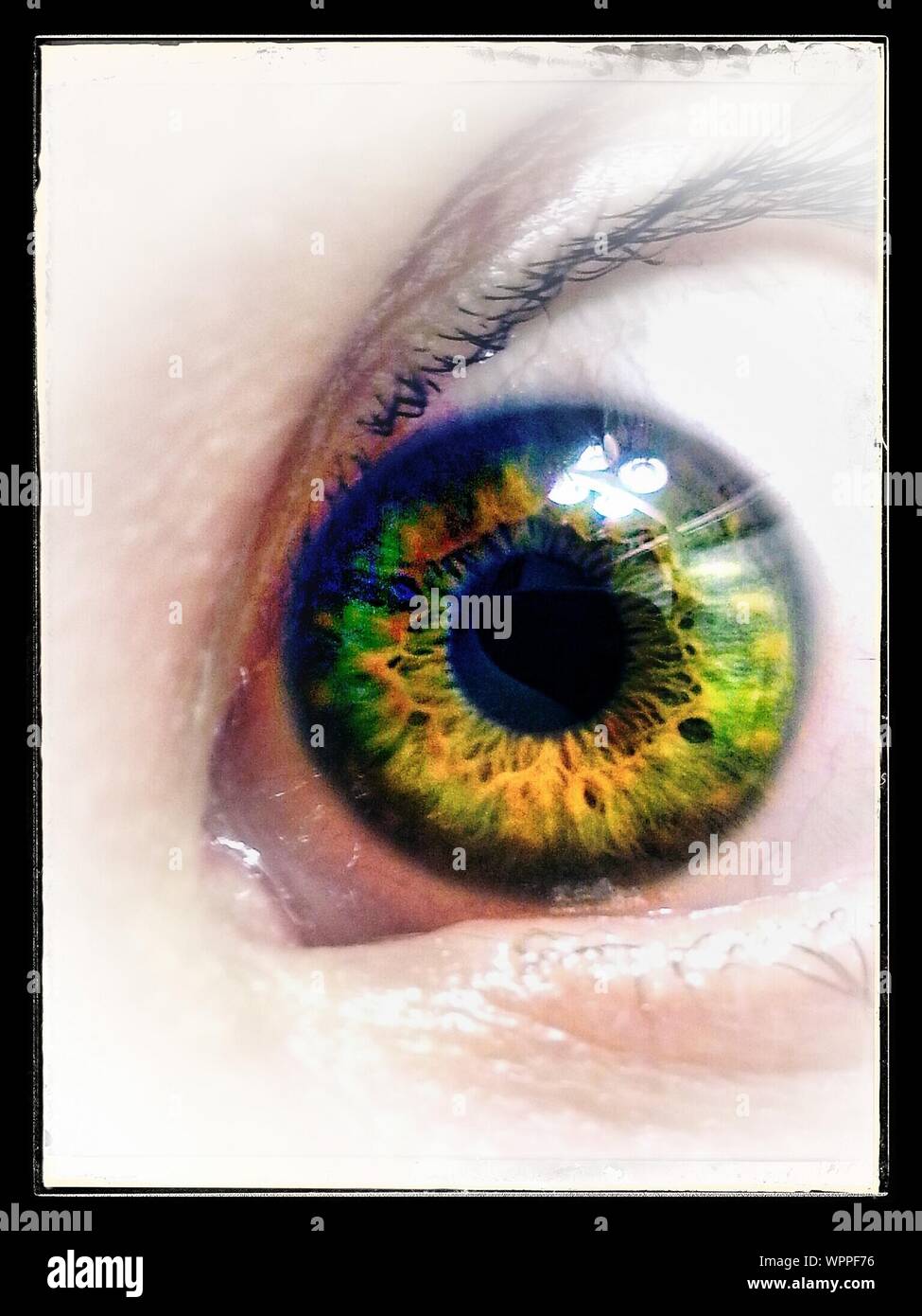 Auto eye focus hi-res stock photography and images - Alamy