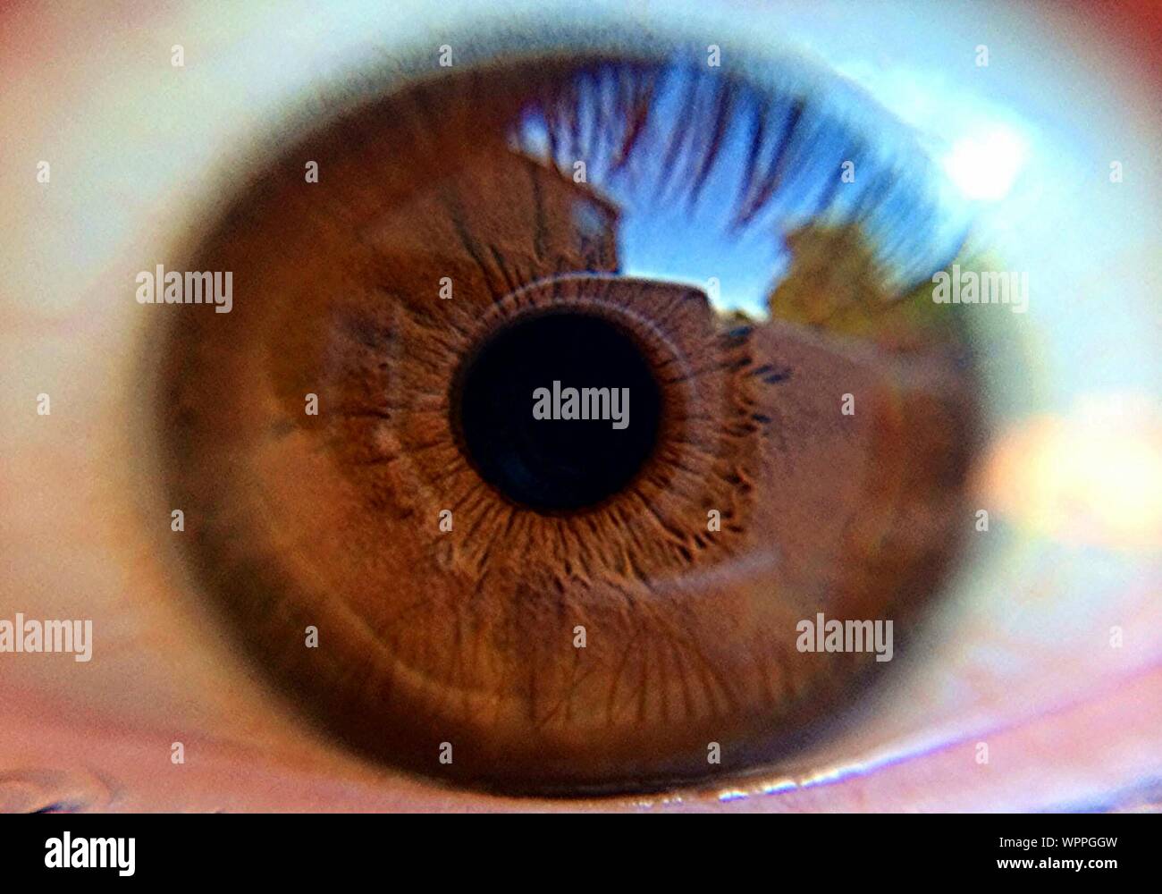 Dilation Eye High Resolution Stock Photography and Images - Alamy