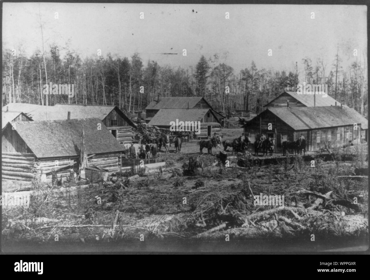 Michigan timber industry hi-res stock photography and images - Alamy