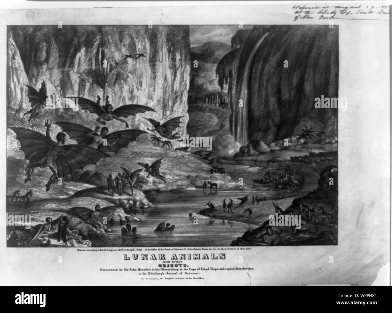 Human bat creatures hi-res stock photography and images - Alamy