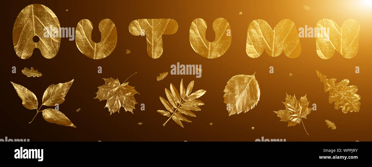 autumn composition of different Golden leaves and letters on a black ...