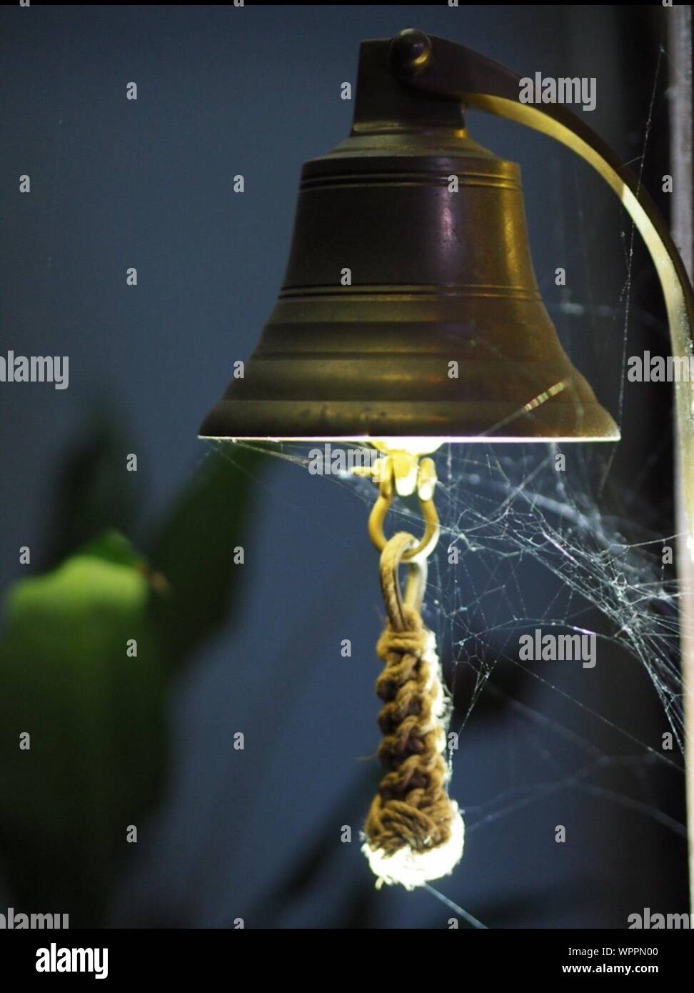 Bell spider hi-res stock photography and images - Alamy