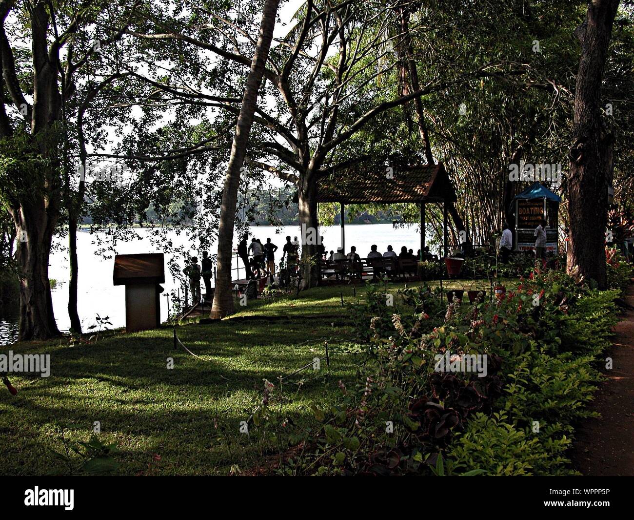 Karanji tree hi-res stock photography and images - Alamy