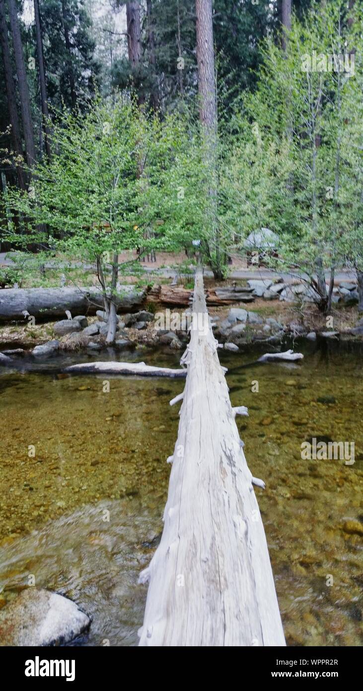 Tree log hi-res stock photography and images - Alamy