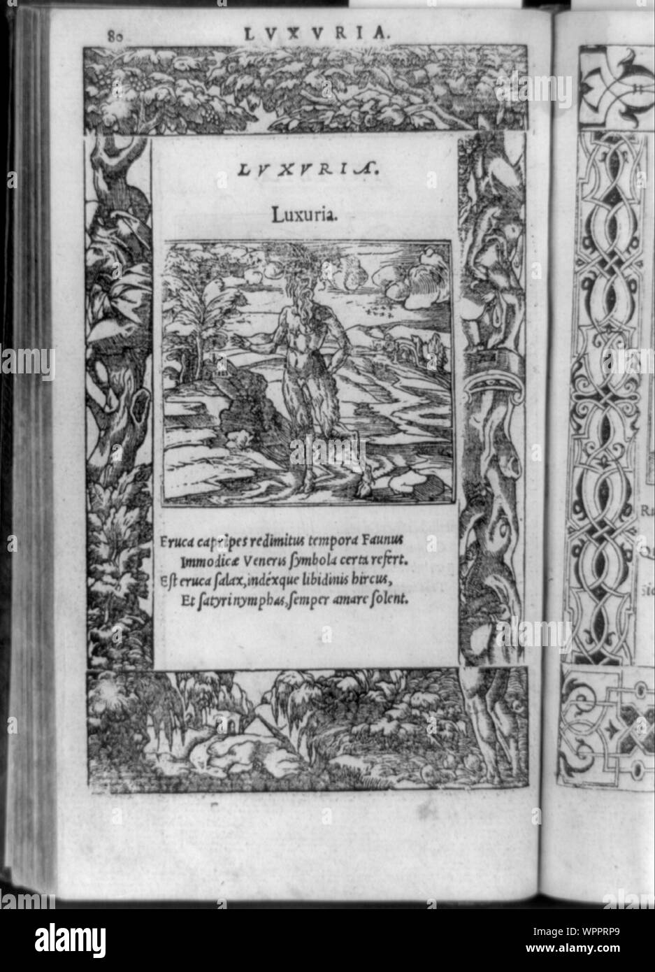 Luxuria hi-res stock photography and images - Alamy