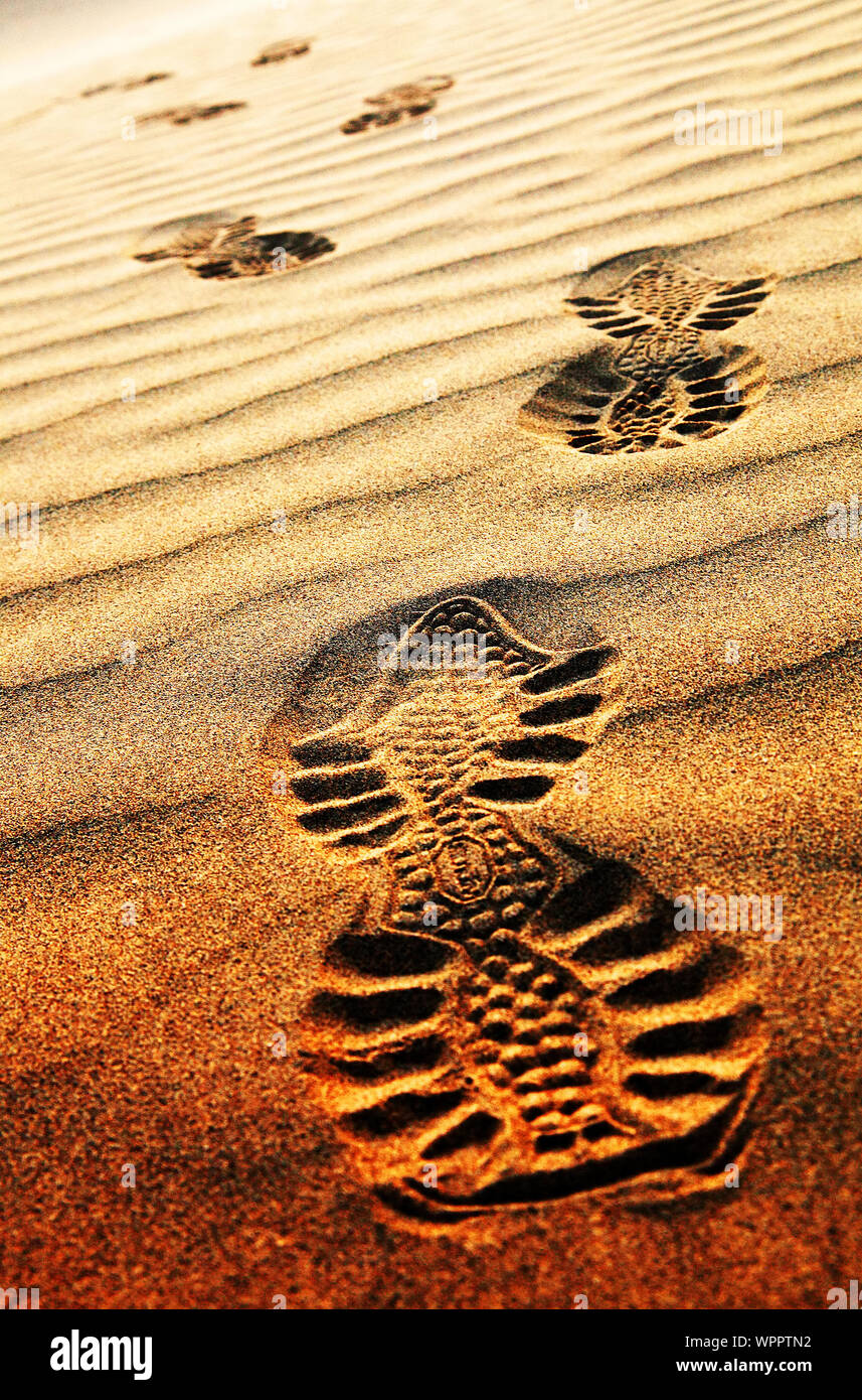 Print shoe hi-res stock photography and images - Alamy