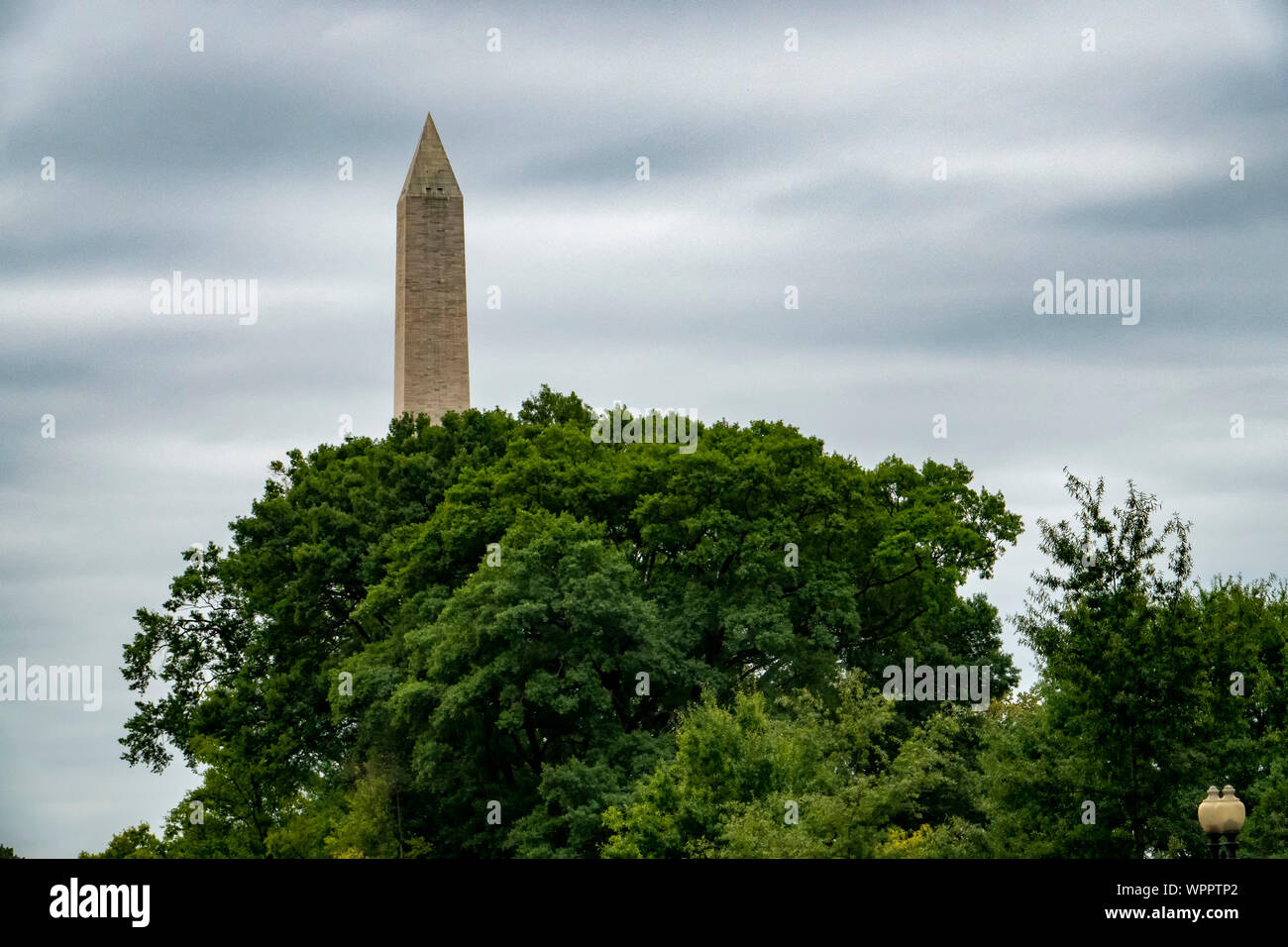 Washington monument behind trees hi-res stock photography and images ...