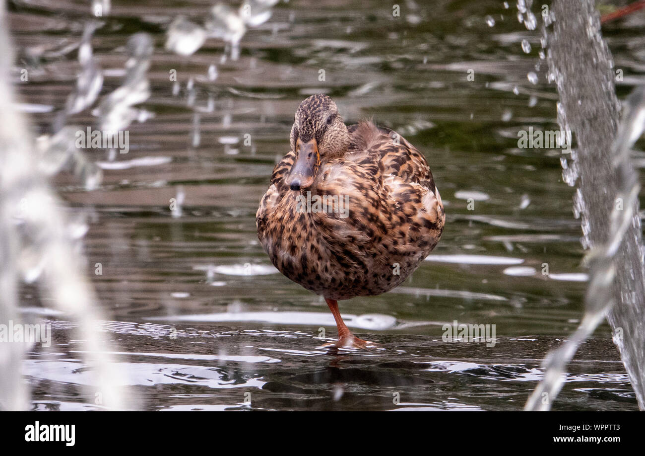 Circle of water Stock Photo - Alamy