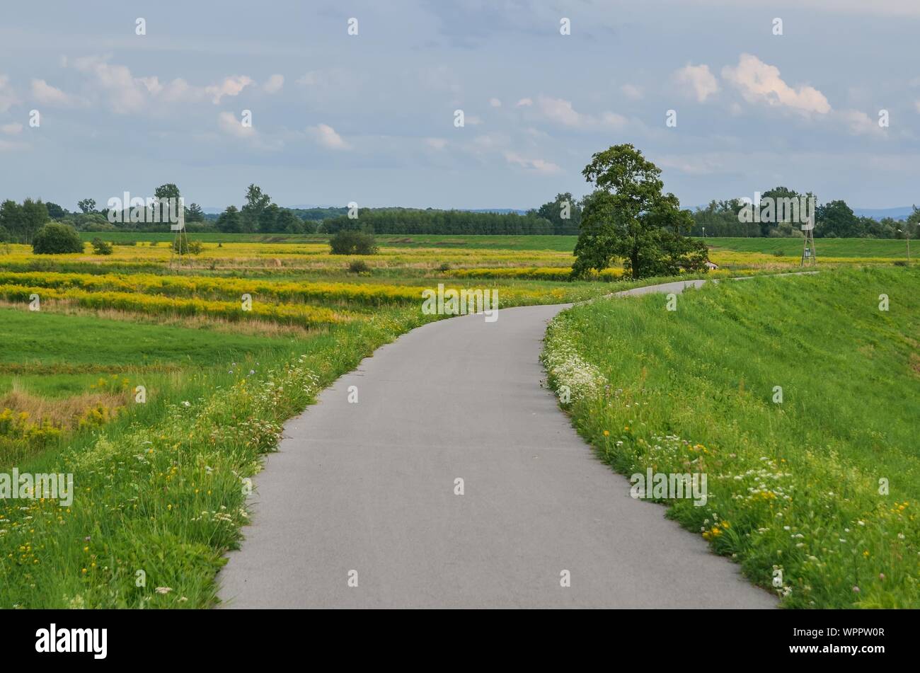Flora and road hi-res stock photography and images - Alamy