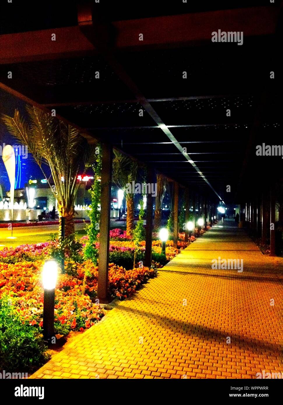 Park corridor hi-res stock photography and images - Alamy