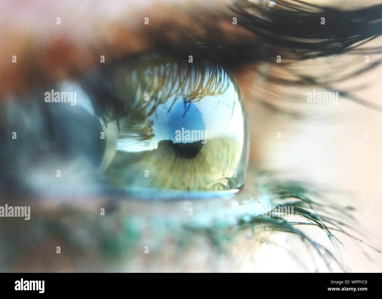 Eye Reflection Art