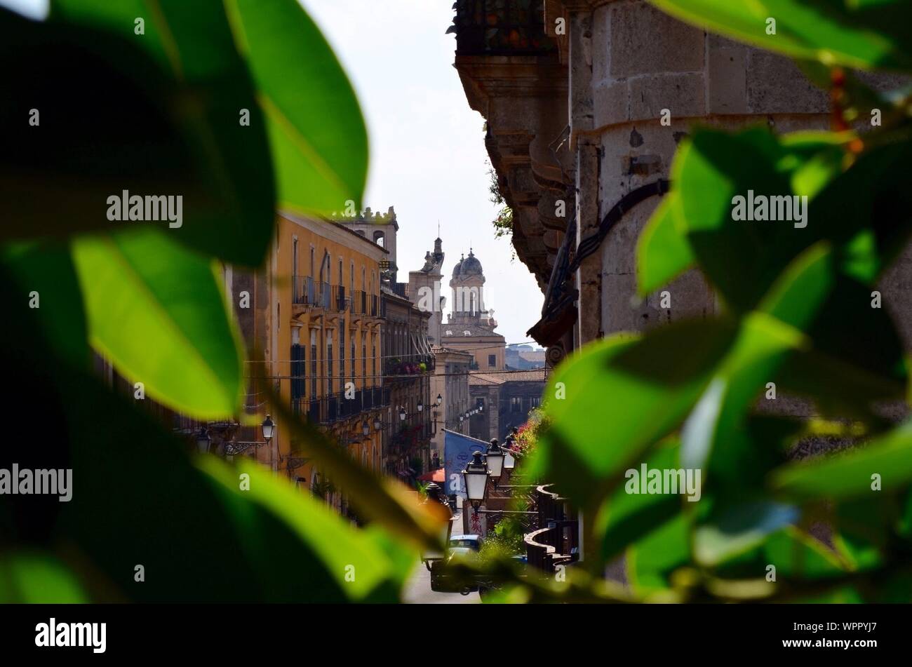 Plants Blocking View Of Buildings Stock Photo Alamy plants-blocking-view-of-buildings-stock-photo-alamy