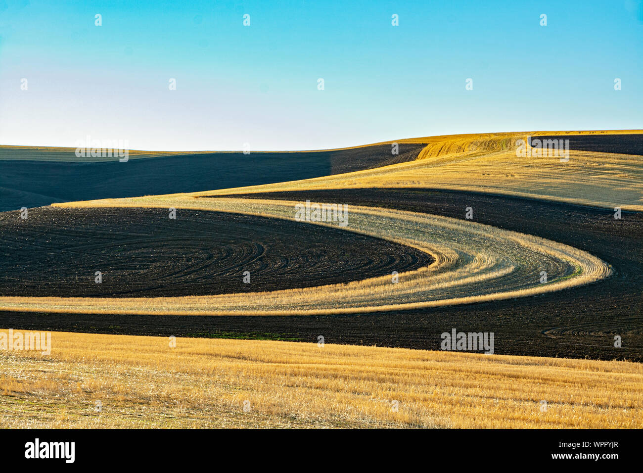 Field after grain harvest hi-res stock photography and images - Alamy