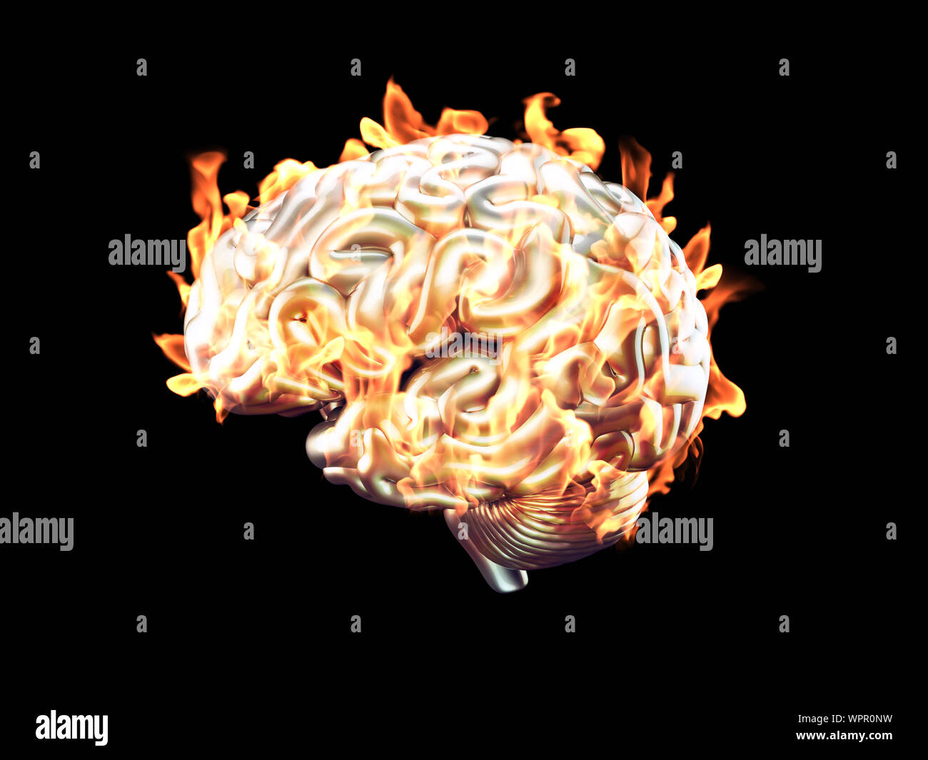 Human brain 3d model hi-res stock photography and images - Alamy