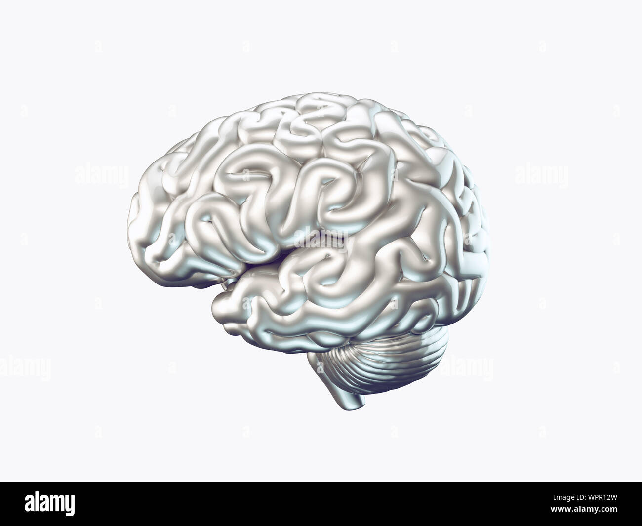 Realistic 3d Illustration of sci-fi human brain made of metal isolated ...