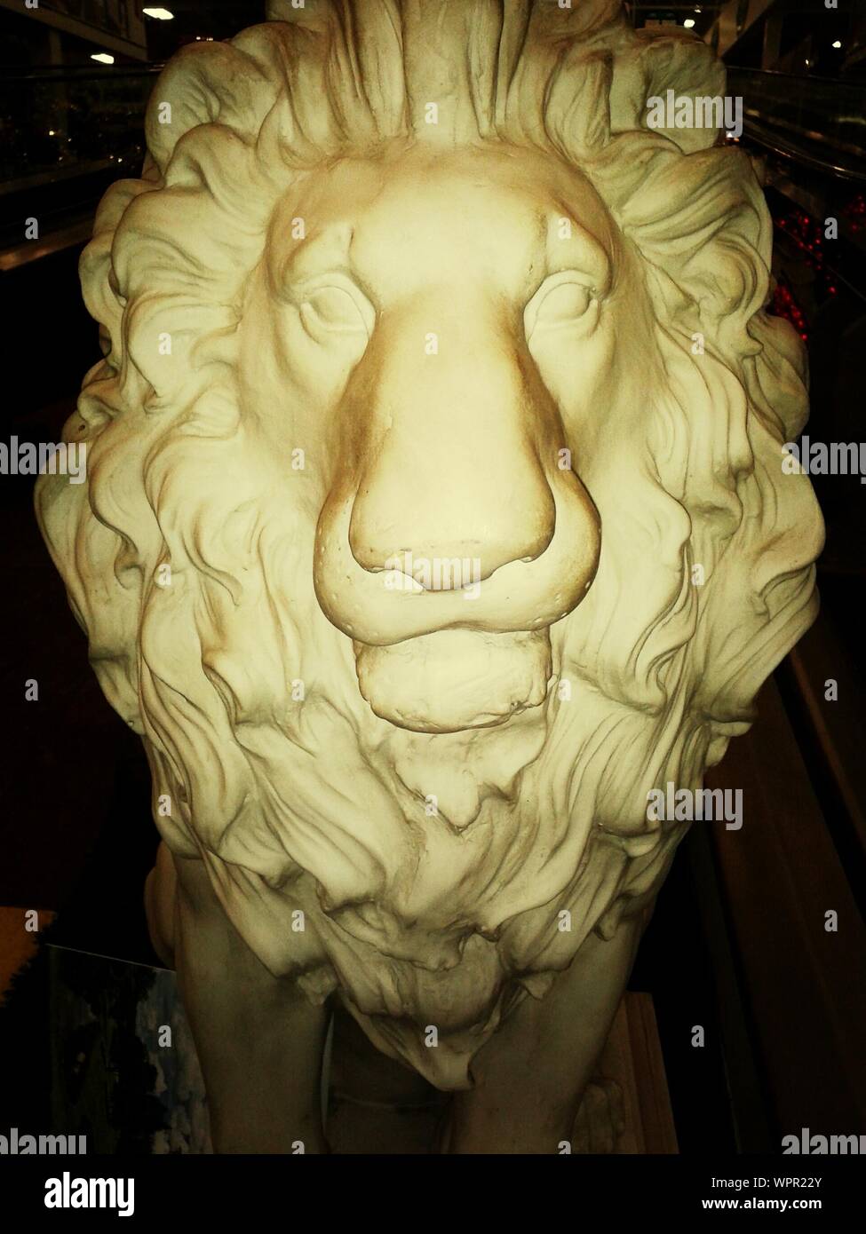 White Lion Statue High Resolution Stock Photography and Images - Alamy