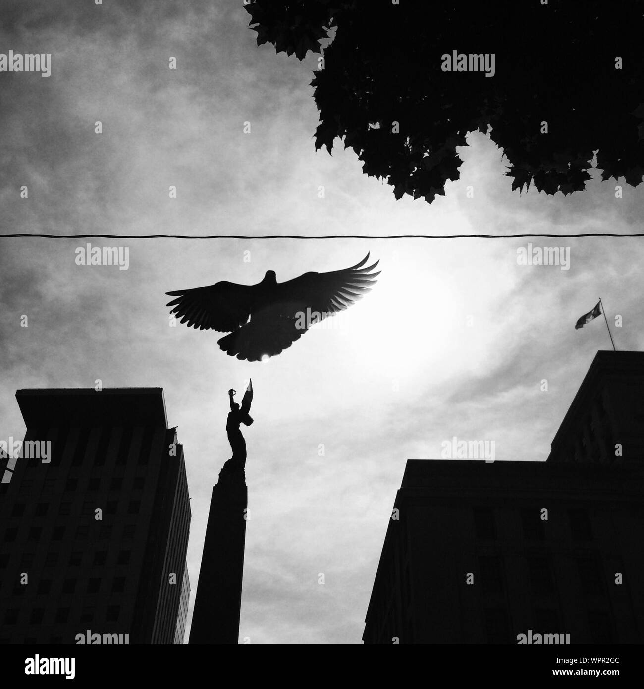 Silhouette angel wings Black and White Stock Photos & Images - Alamy