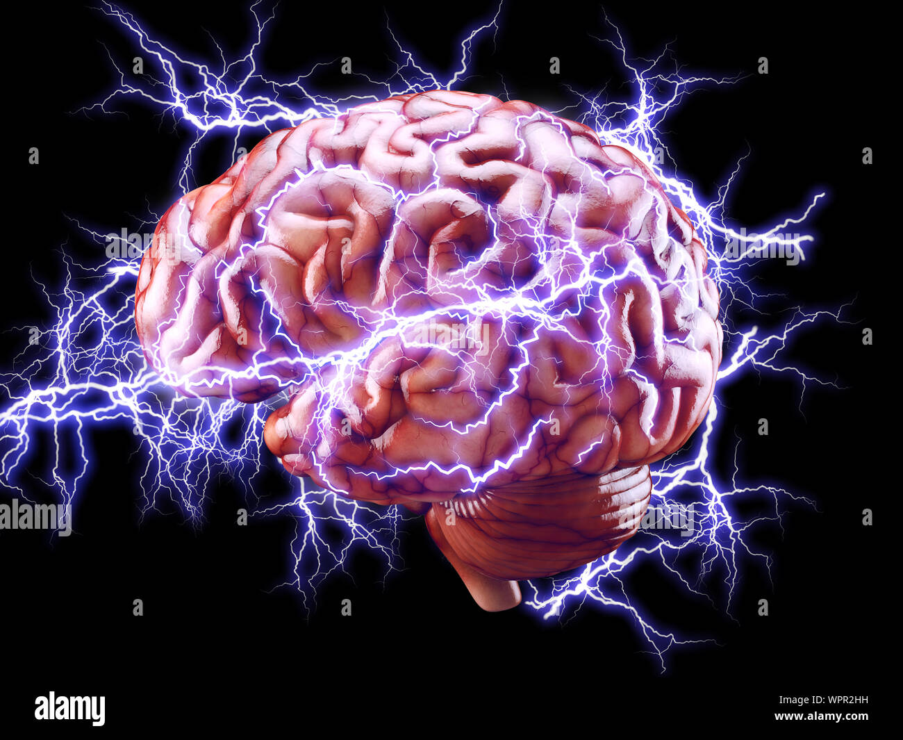 Human brain structure hi-res stock photography and images - Alamy