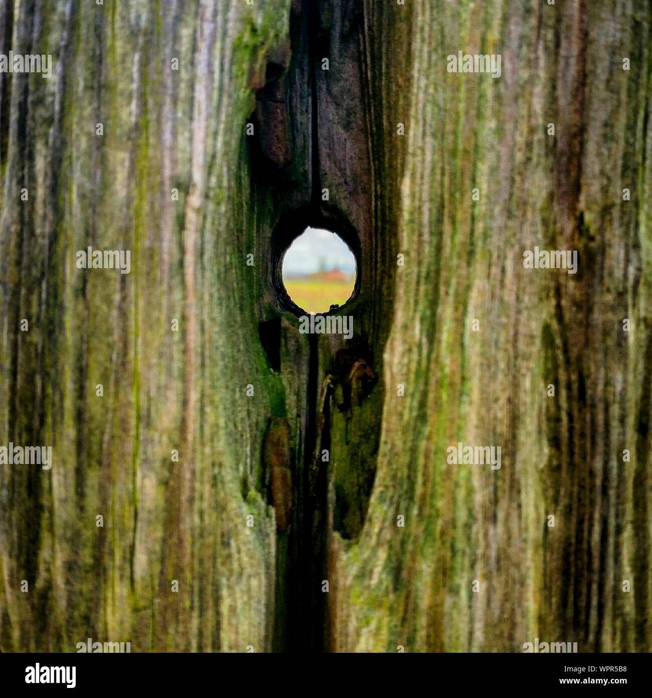 Wooden plank hole hi-res stock photography and images - Alamy