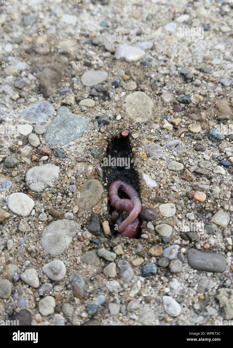 The worm hole hi-res stock photography and images - Alamy