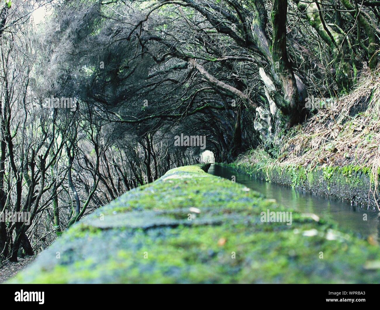 Canal retaining wall hi-res stock photography and images - Alamy