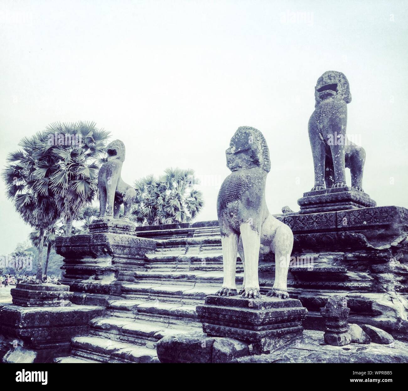 Lion stairs hi-res stock photography and images - Alamy